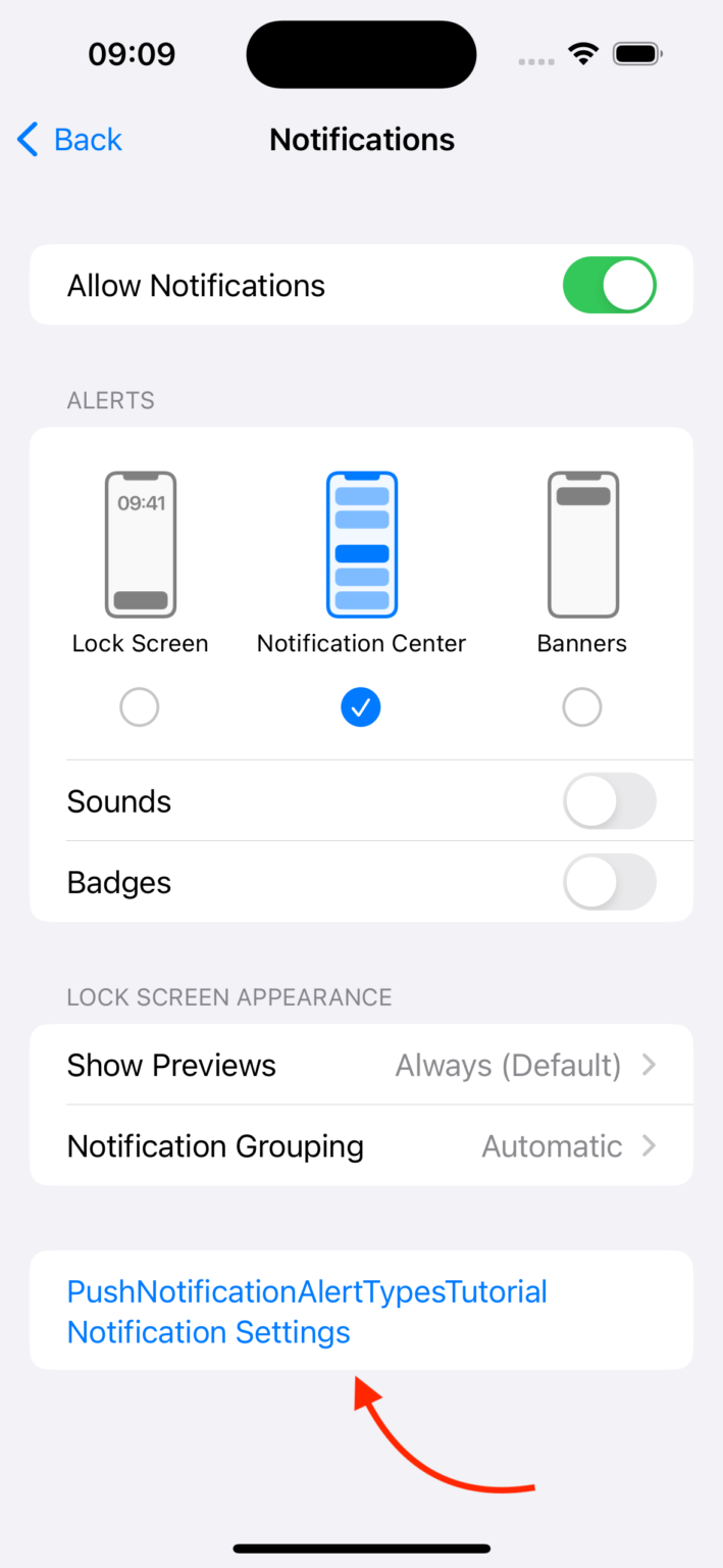 Push Notifications Options In Swiftui Holy Swift